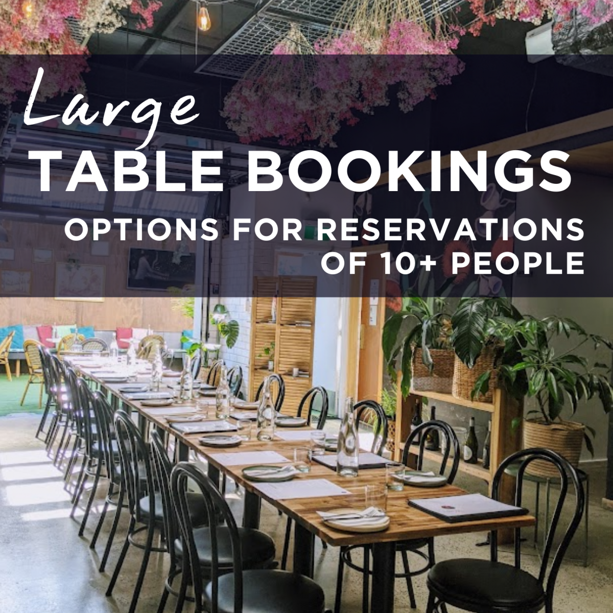 Functions - Northside-Wines